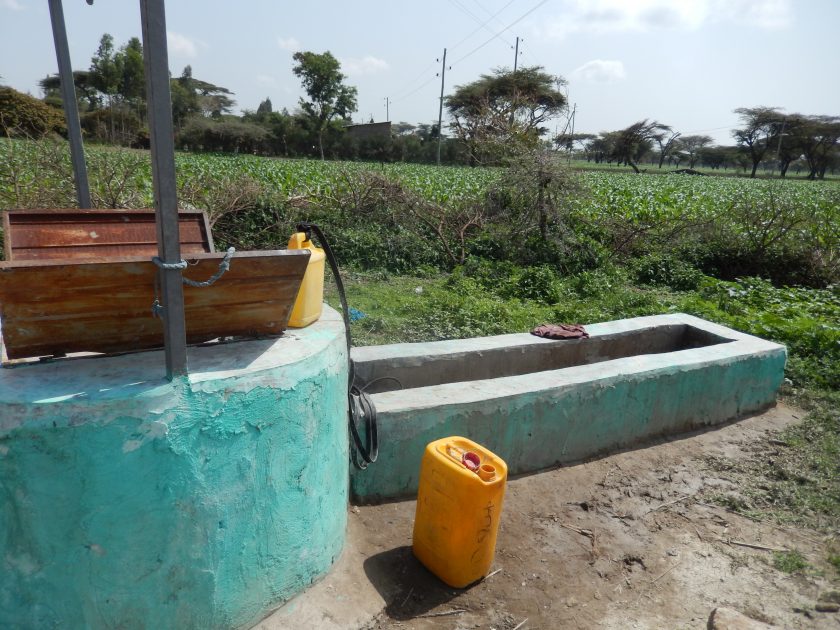 Supplemental irrigation - Waterproductivity