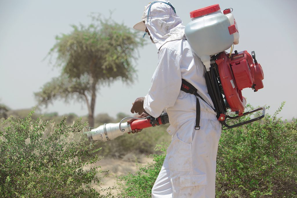 Desert locust control - Waterproductivity