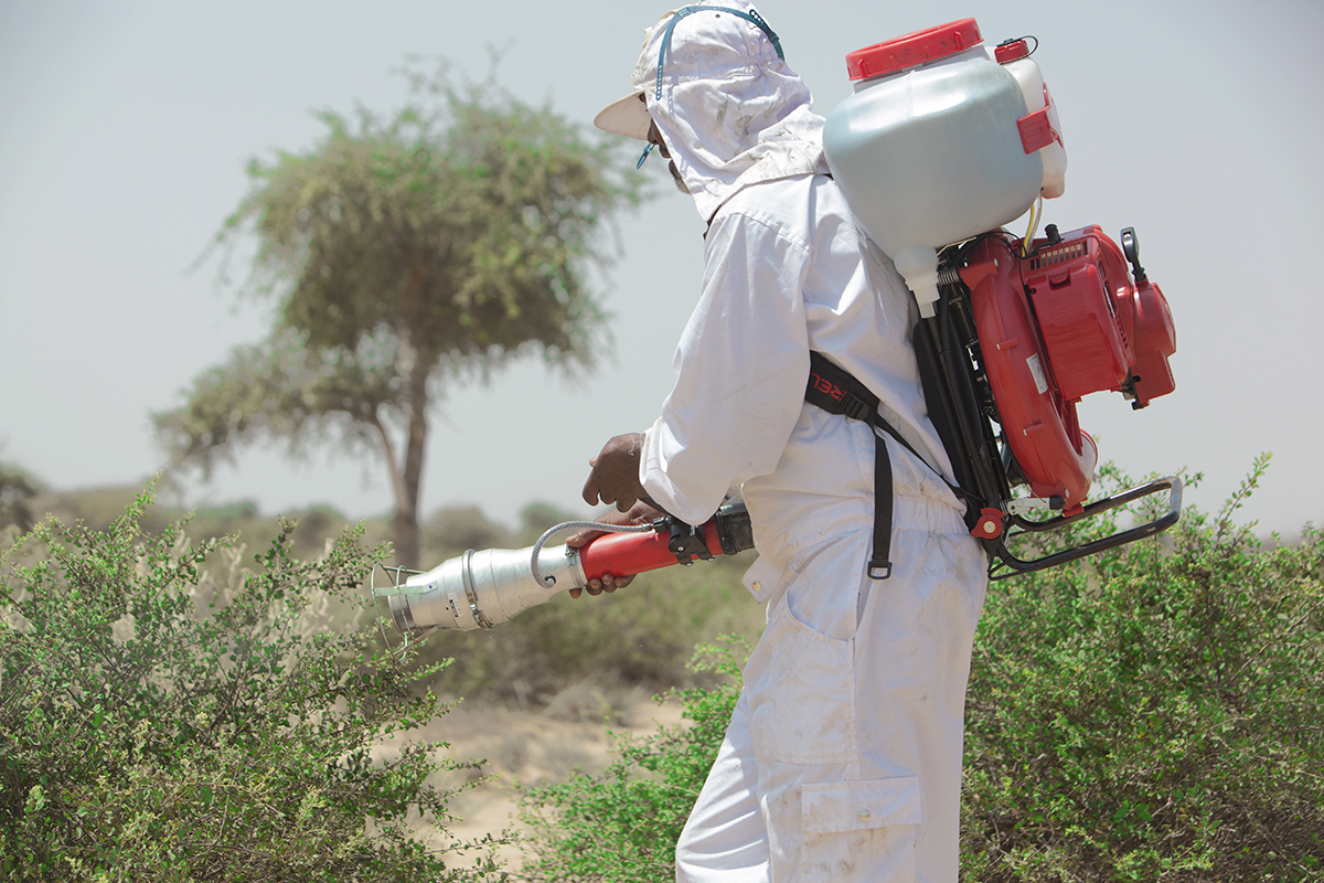 Desert locust control - Waterproductivity