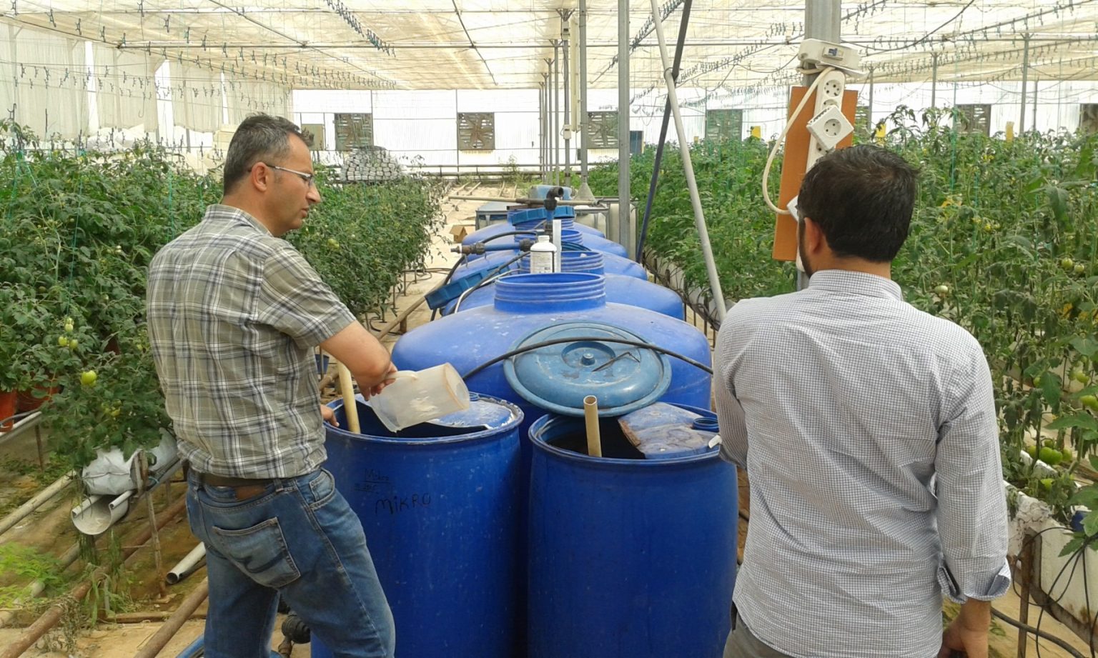 Precision use of chemicals: fertigation - Waterproductivity