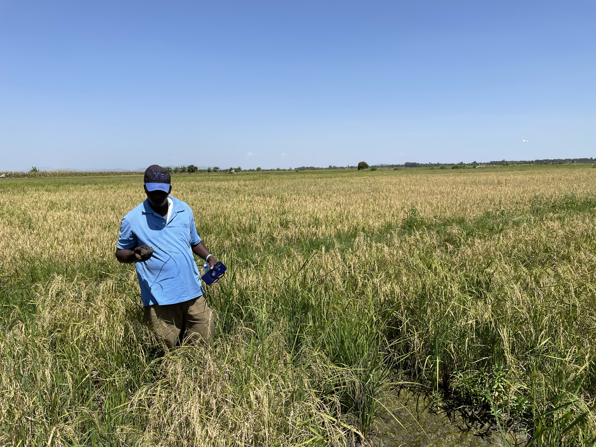 Plant Disease Control Waterproductivity Plant Disease Control Waterproductivity