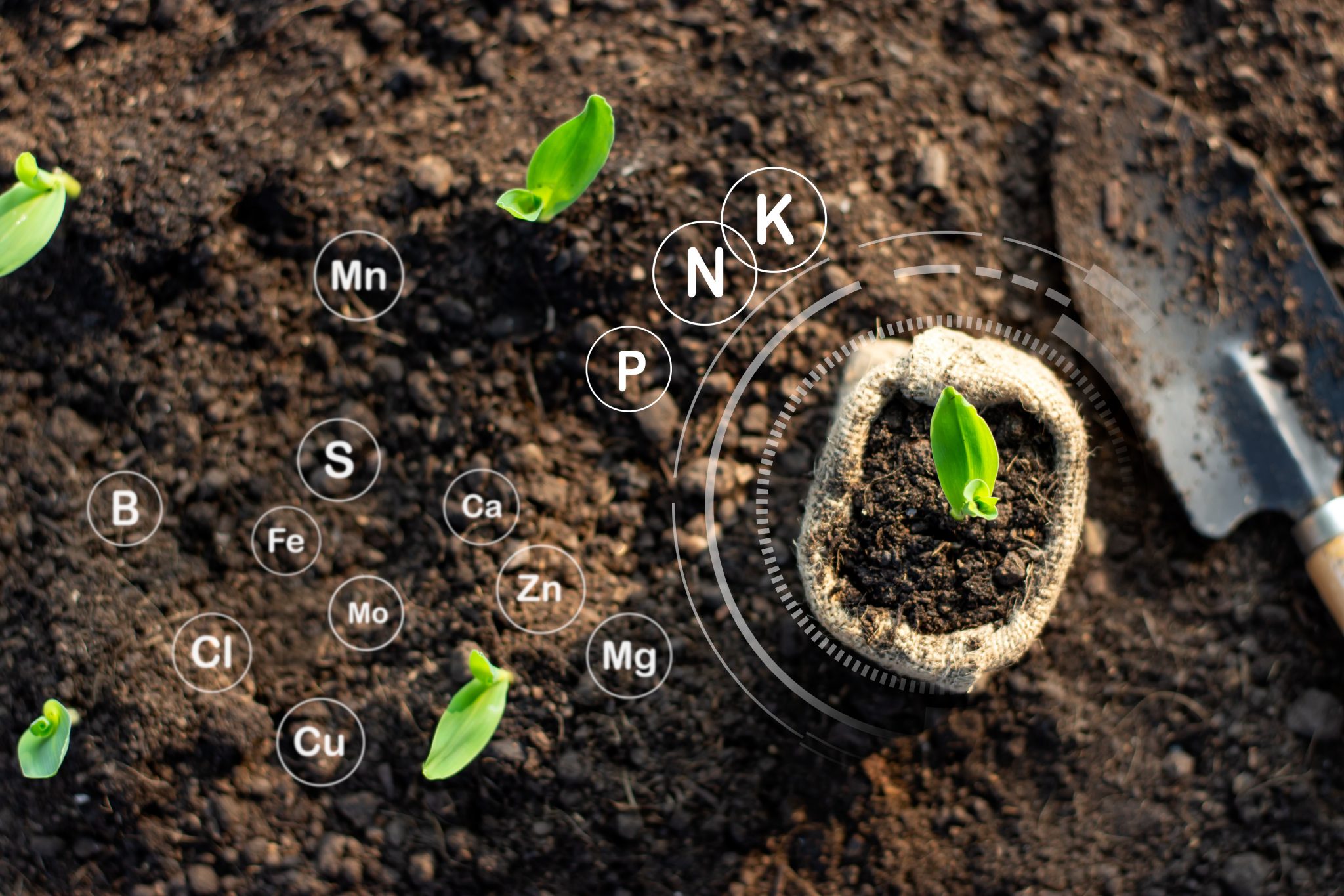 Micro-nutrients - Waterproductivity
