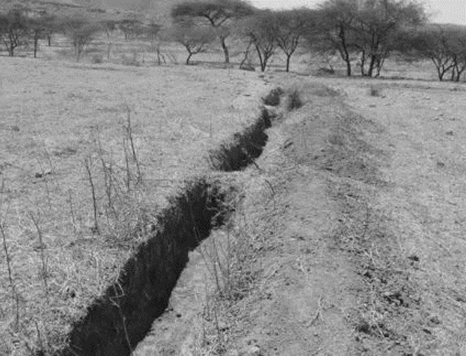 Trenches and swales - Waterproductivity