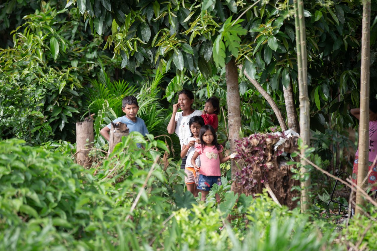 Forest preservation and management - Waterproductivity