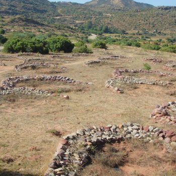 Bench terracing - Waterproductivity